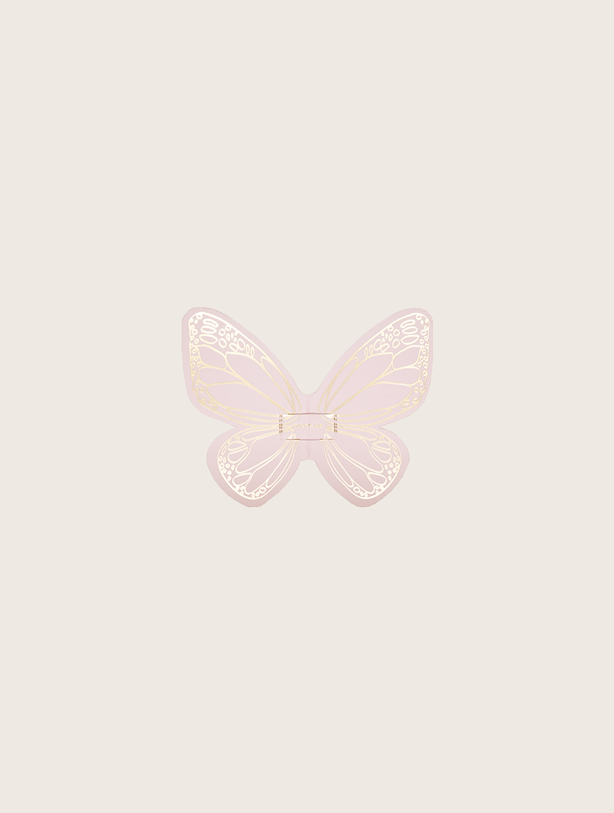 Pink Butterfly Money Holder – TINT LAB